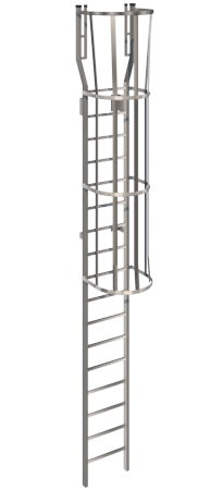 Steel Fixed Vertical Ladder with Cage and Rail - SL1481 | Taimco